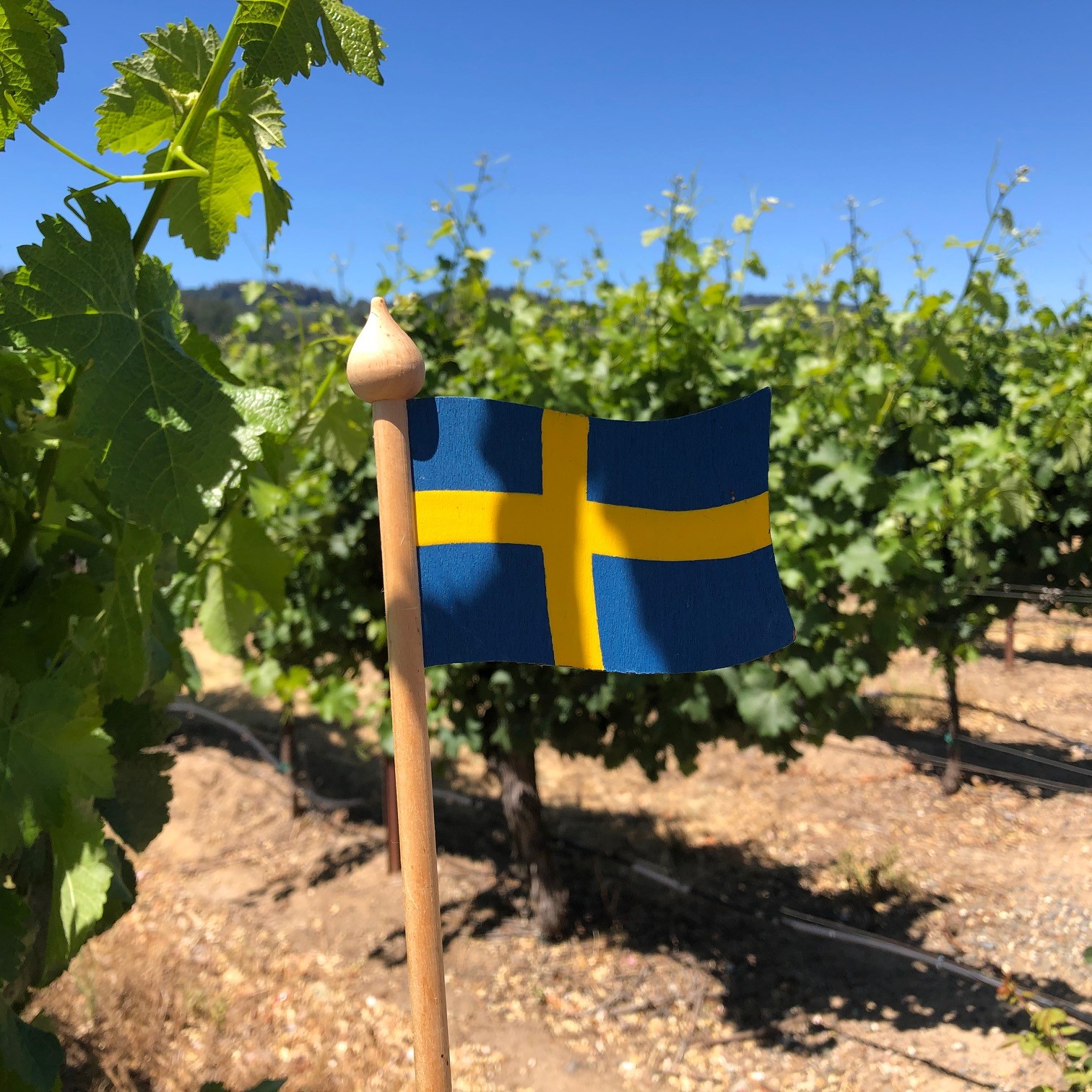 West Wines - West Wines